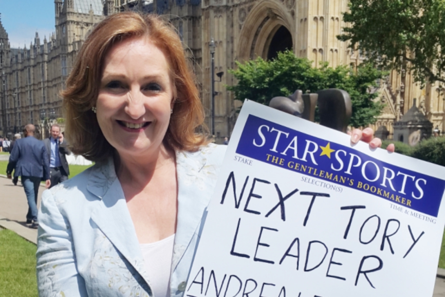 Suzanne Evans backs Leadsom for Tory leadership – Football & Racing ...
