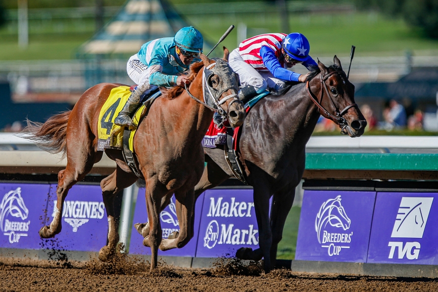 SCOTT FINLEY: Breeders’ Cup Friday – Football & Racing News – Star Sports