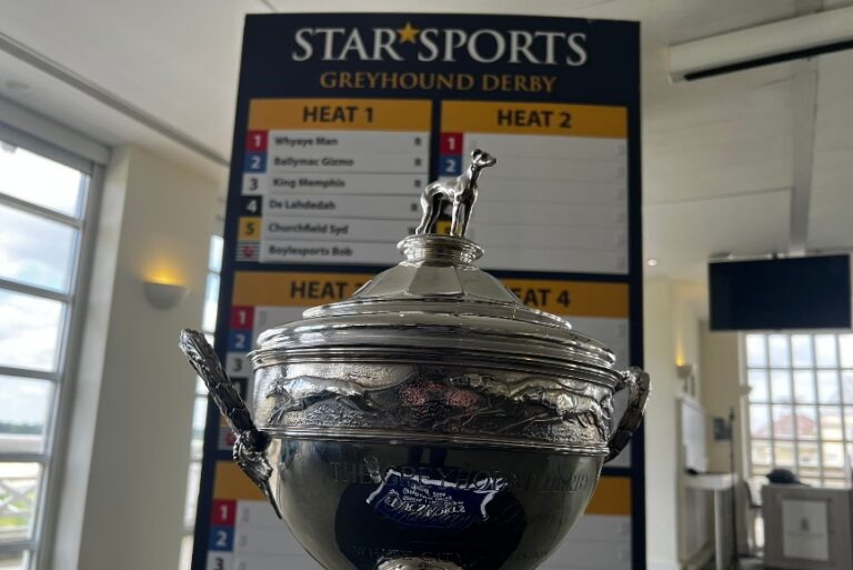 EMILY WALLIS: Greyhound Derby Blog #1 – “A rejuvinated Towcester ...