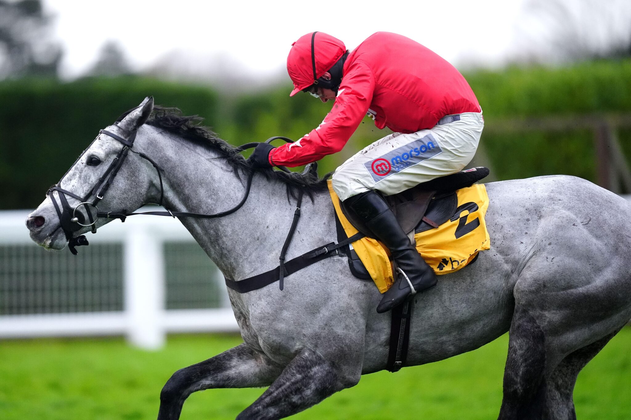 HARRY SKELTON: Bumper Weekend Preview – Football & Racing News – Star ...